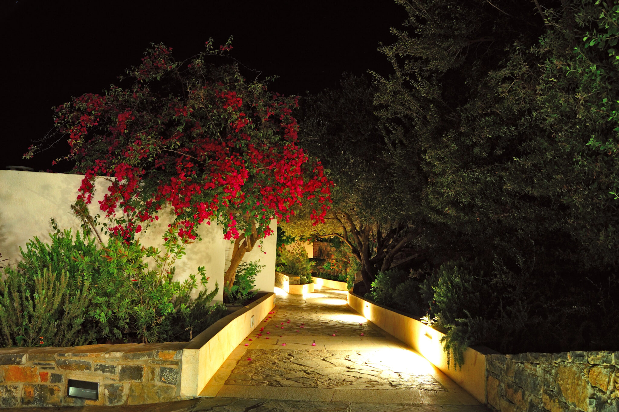 Outdoor Lighting Ideas That Will Light Up Your Life – Texas Landscape ...